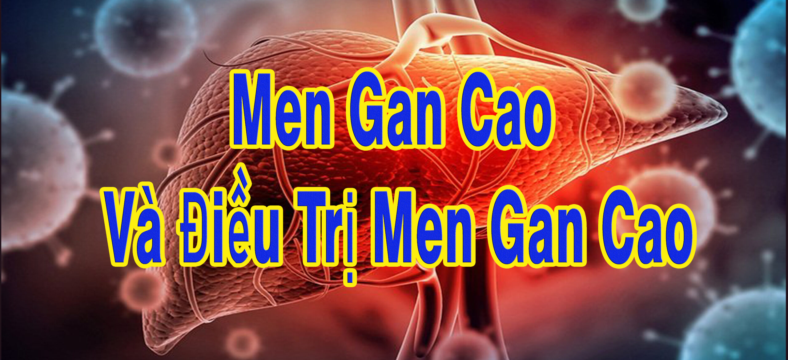 MEN GAN CAO LÀ GÌ? ĐIỀU TRỊ MEN GAN CAO - GAN A SÚA