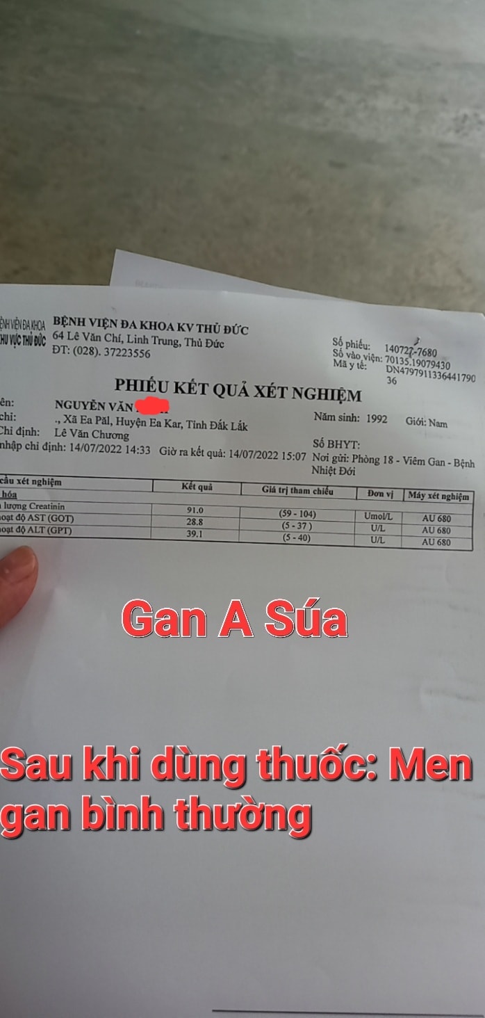 MEN GAN CAO LÀ GÌ? ĐIỀU TRỊ MEN GAN CAO - GAN A SÚA