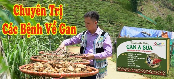 GAN A SÚA LẦN ĐẦU VINH DANH ĐẠI SỨ ĐỔI MỚI SÁNG TẠO VIỆT NAM 2022 - GAN ...